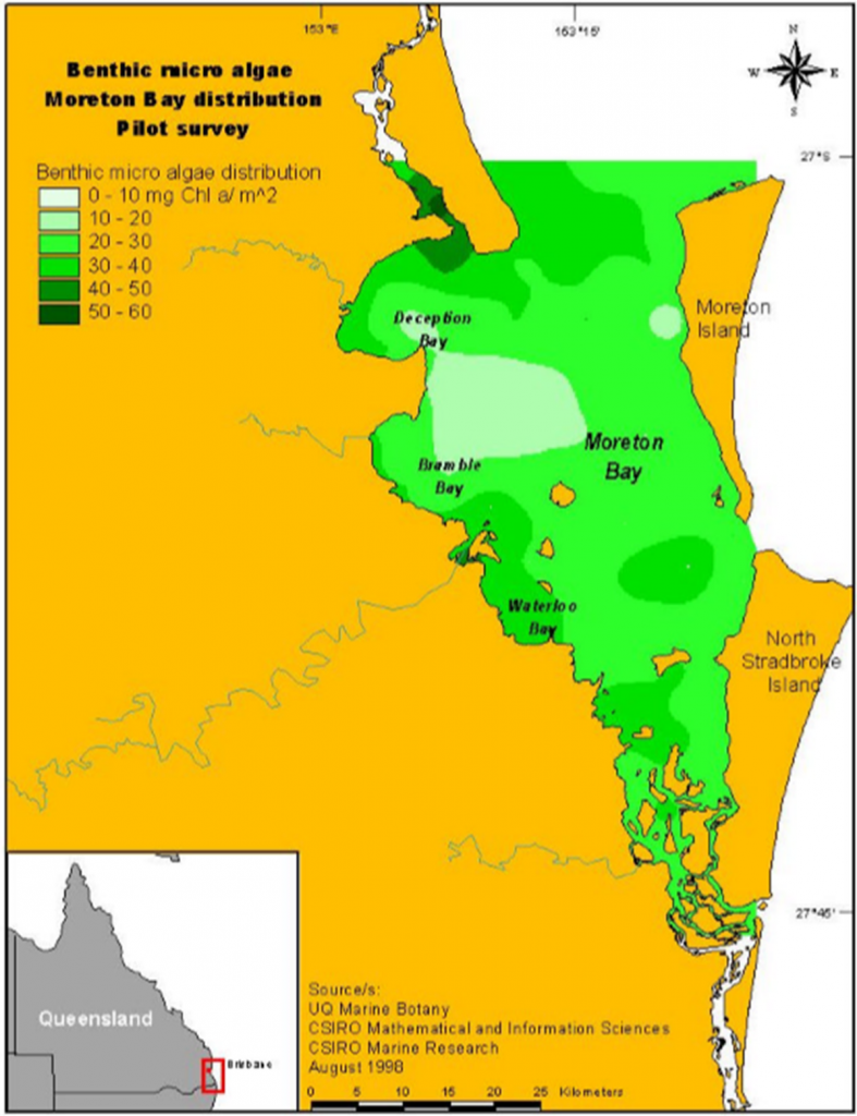 Primary producers in Moreton Bay: Phytoplankton, benthic microalgae and ...