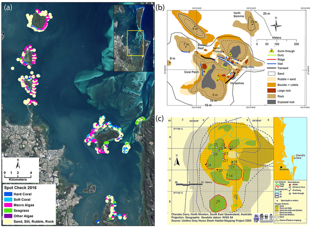 Building an understanding of Moreton Bay Marine Park reefs through ...
