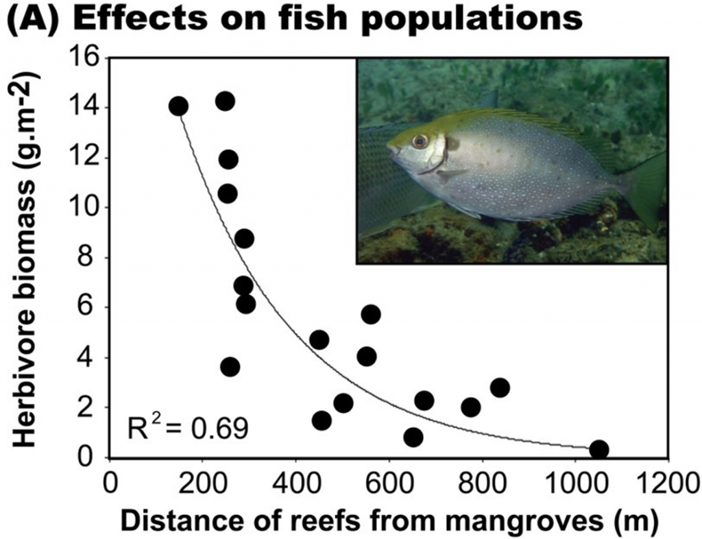 Fishes of Moreton Bay: Ecology, human impacts, and conservation ...