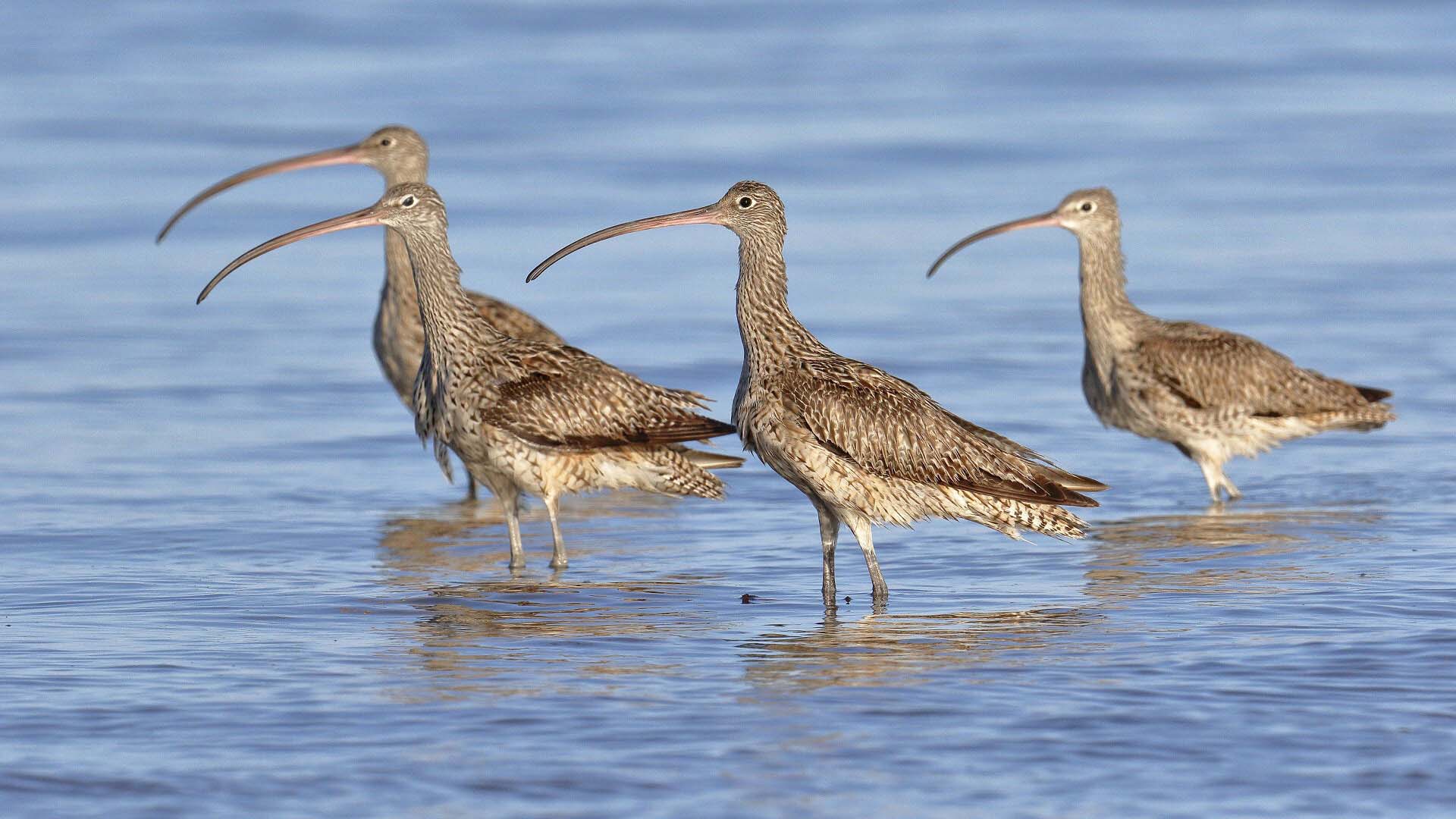 Moreton Bay Photo Gallery - The Moreton Bay Foundation