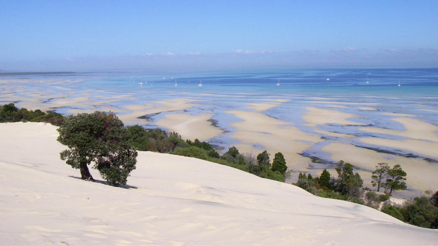 Home - The Moreton Bay Foundation